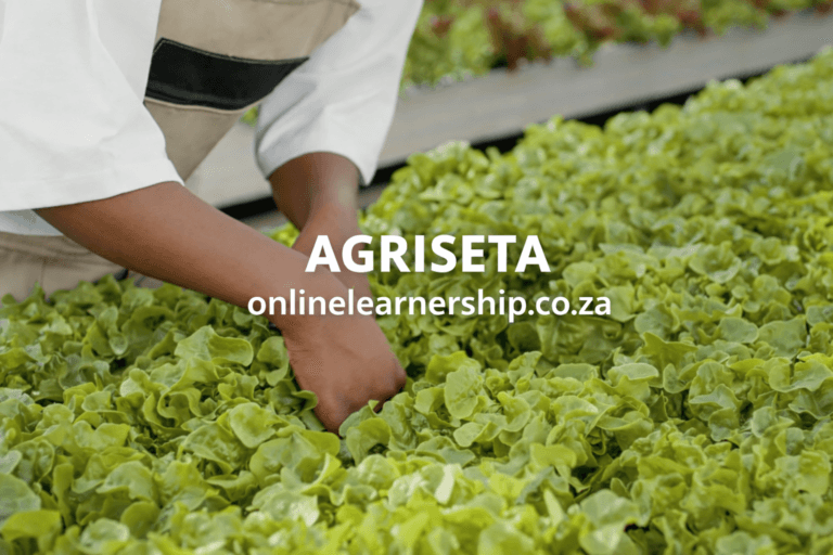 WIL AgriSETA Programme 2026 at UNIVEN:R4 200 p.m Stipend